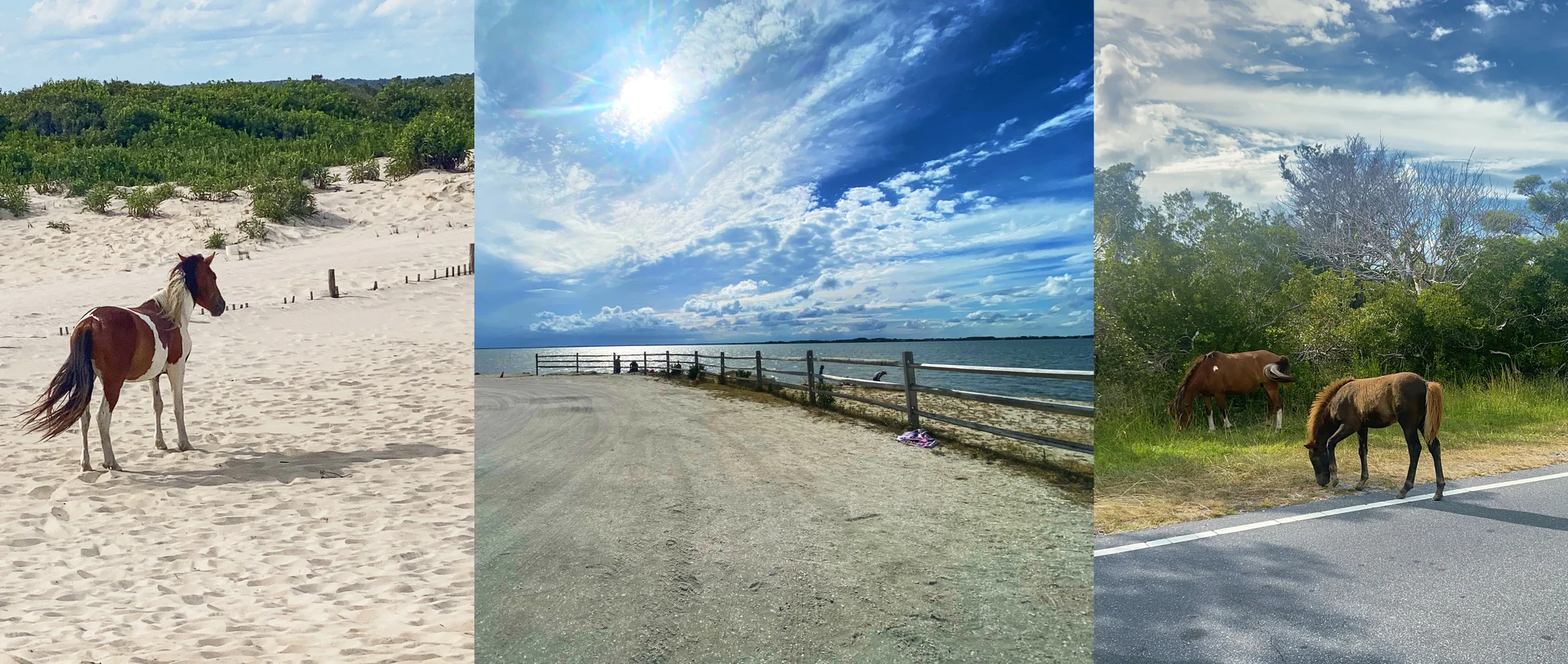 Atlantis OCMD